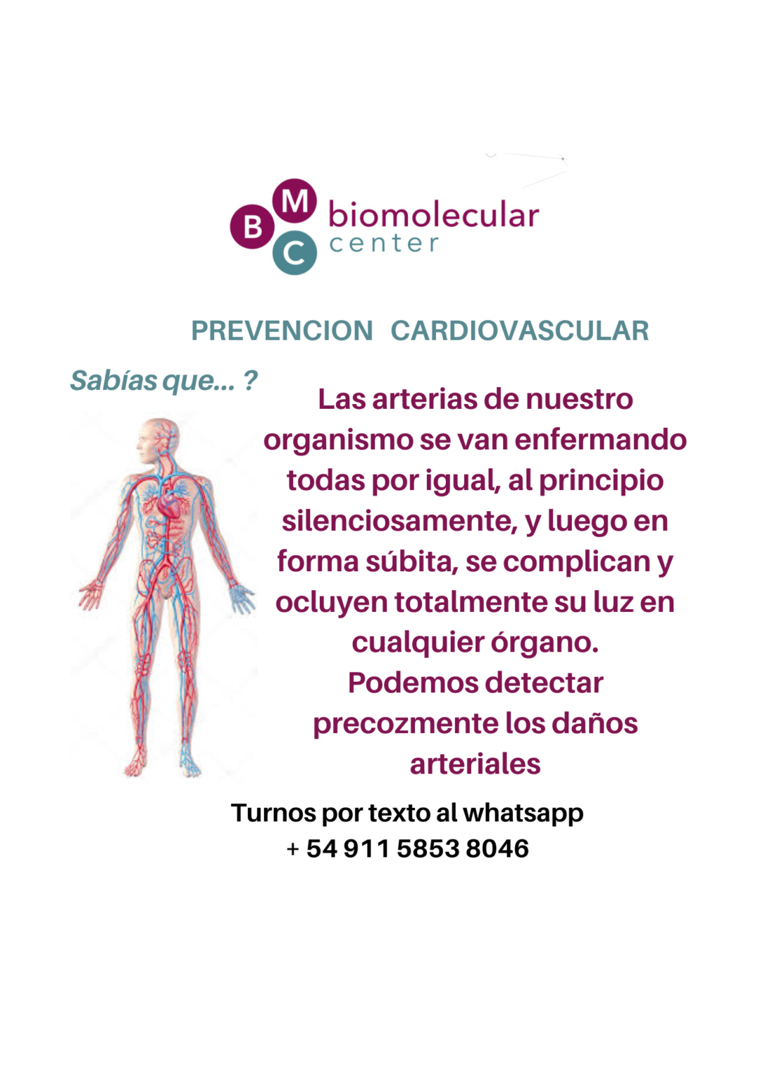 Prevención Cardiovascular – como se enferman las arterias